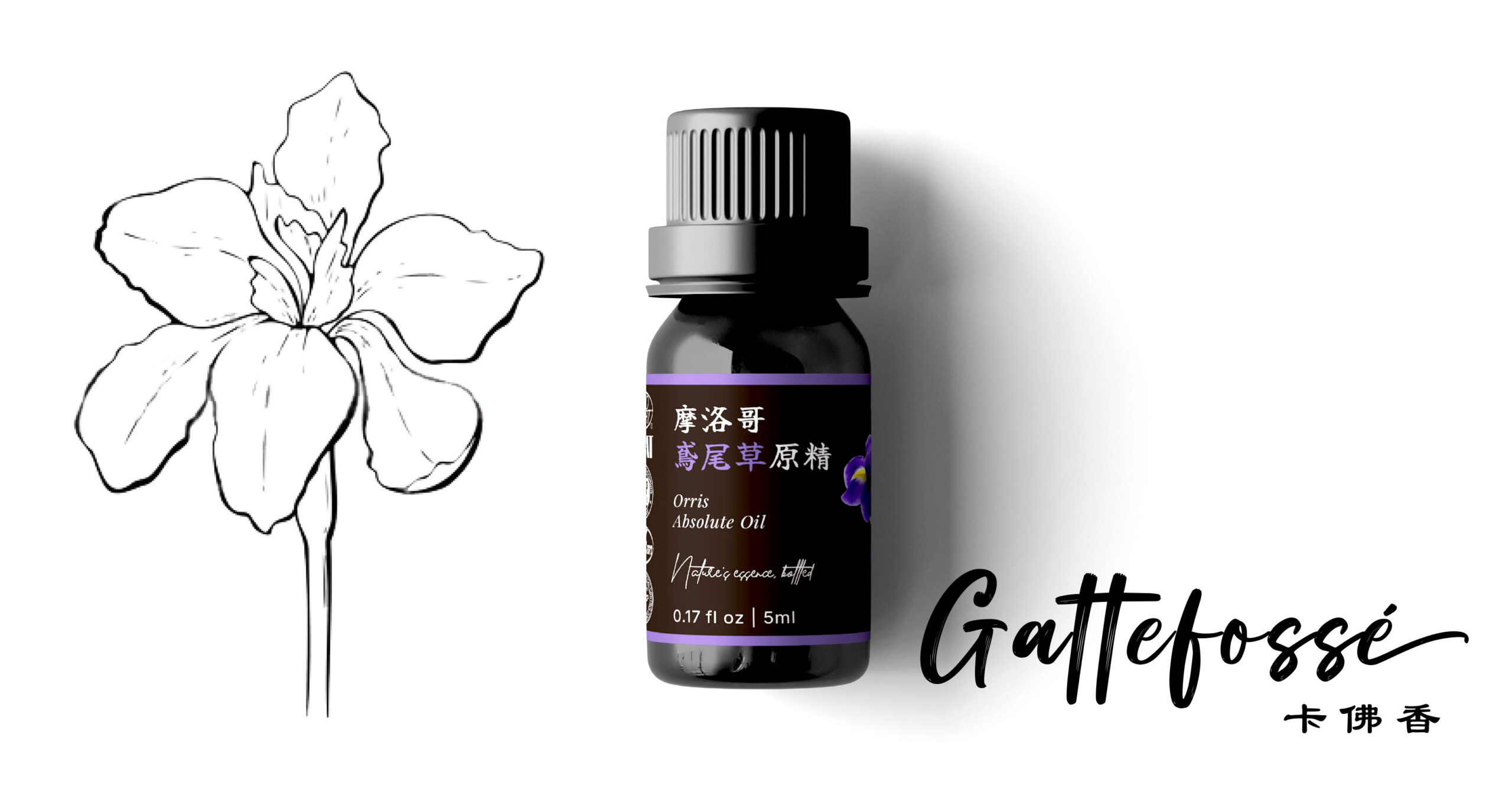 Orris Absolute Oil -5ml 摩洛哥鳶尾草原精 - Gattefossé 卡佛香．香港